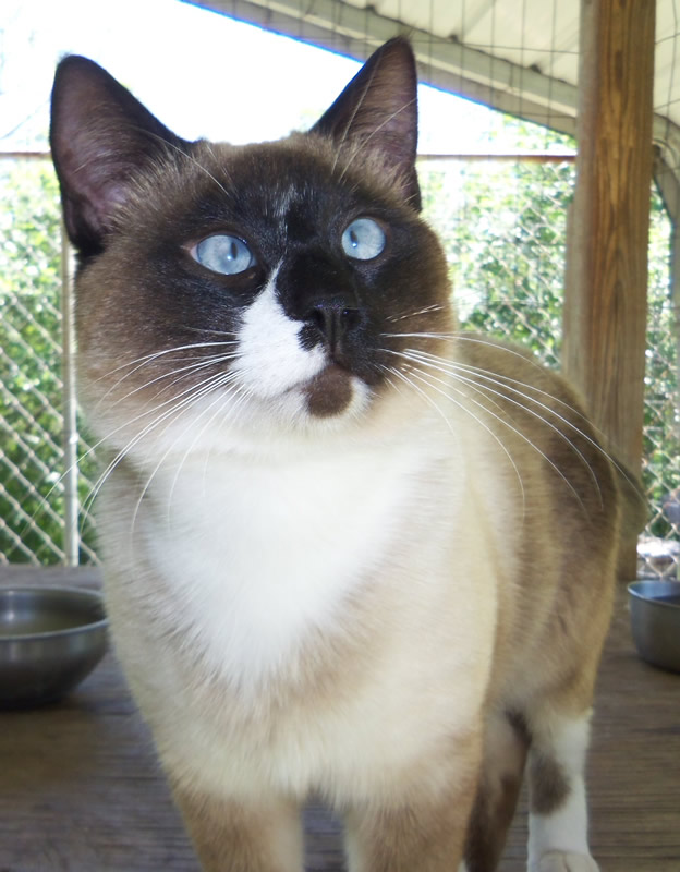 Simon a » CountryMunchkins