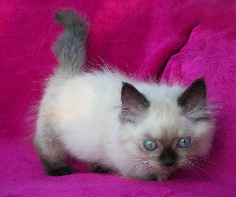 100_0107 » CountryMunchkins