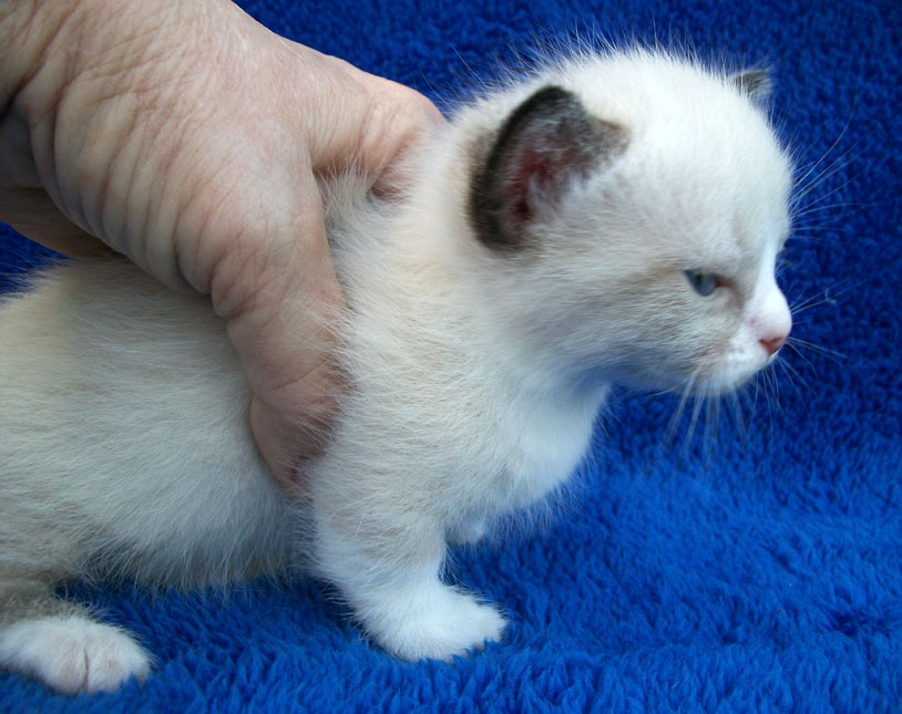 100_2416 » CountryMunchkins