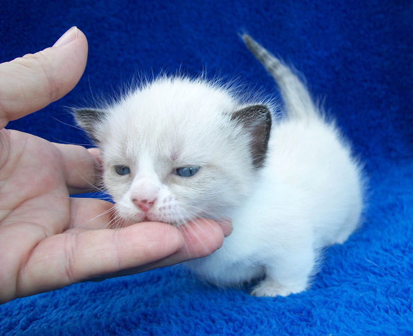 100_2421 » CountryMunchkins