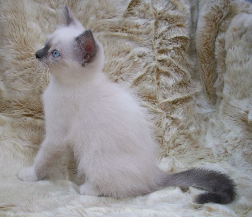 100_6097 size » CountryMunchkins