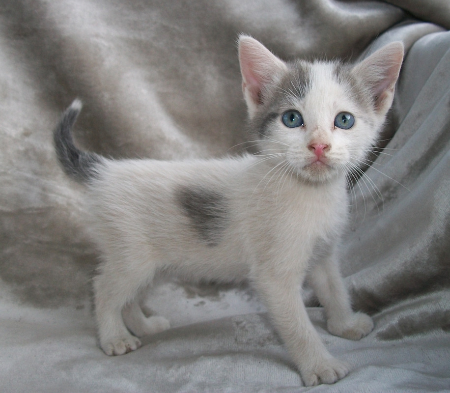 100_7290 » CountryMunchkins