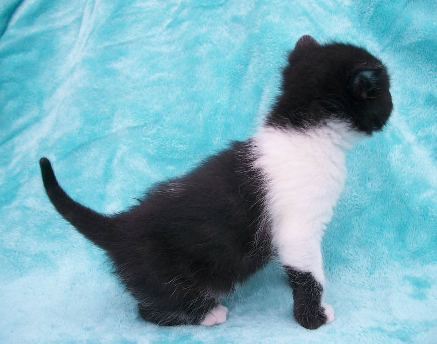 100_7316 » CountryMunchkins