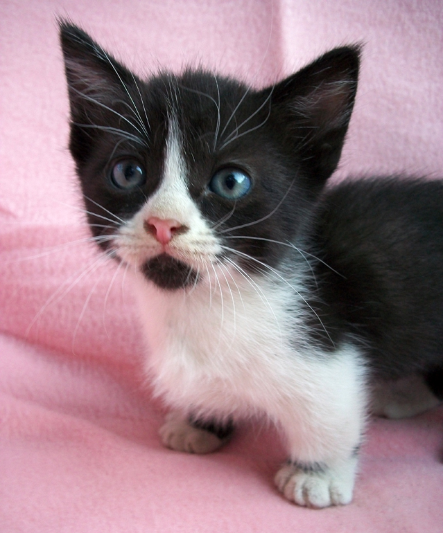 100_7342 size » CountryMunchkins