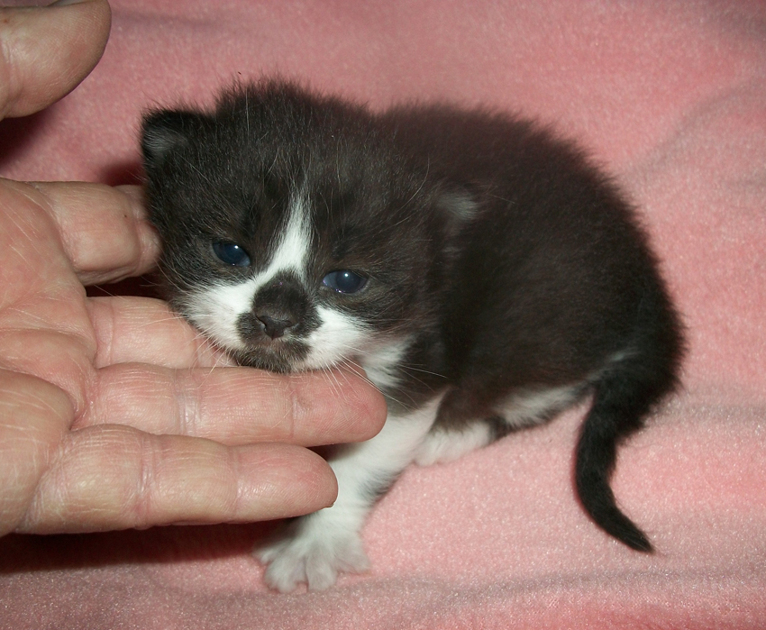 100_9569 » CountryMunchkins