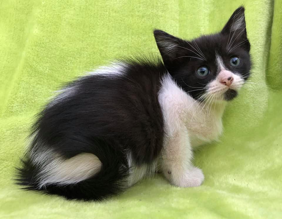 125877263_3539093379462991_493842621760598604_n » CountryMunchkins