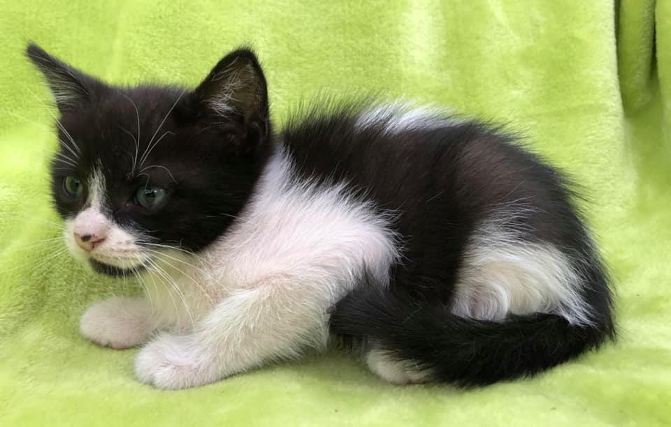 126206632_3539093476129648_999970364105441252_n » CountryMunchkins