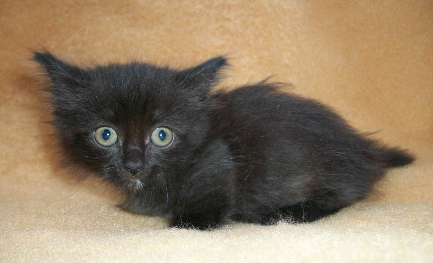 100_1092 » CountryMunchkins