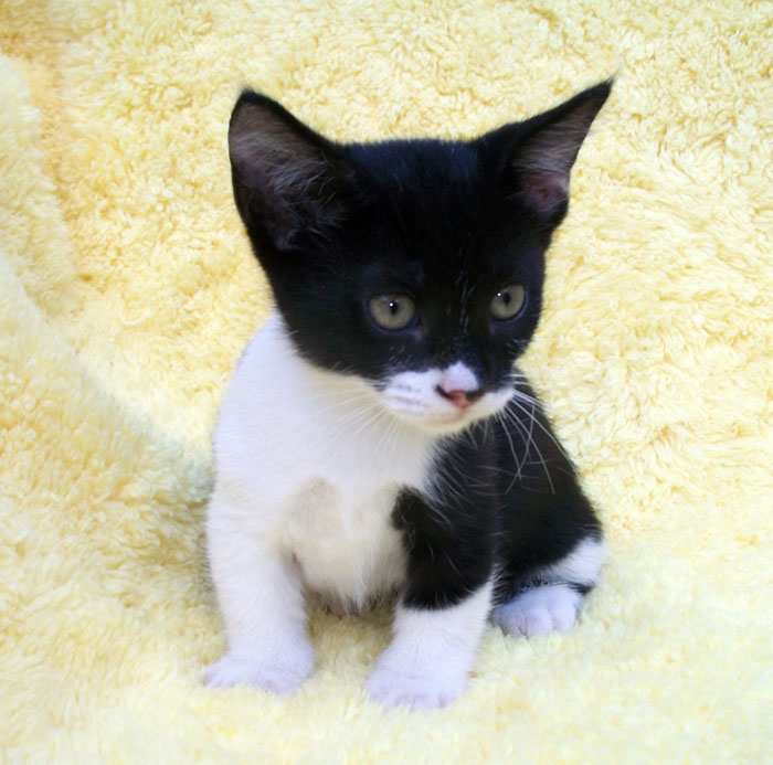 100_1458 » CountryMunchkins