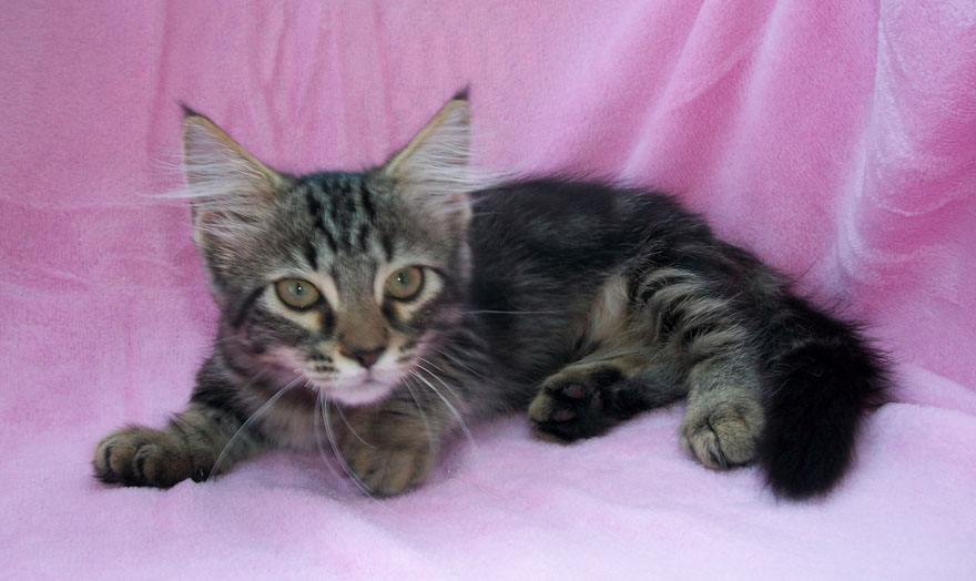 100_2365 » CountryMunchkins