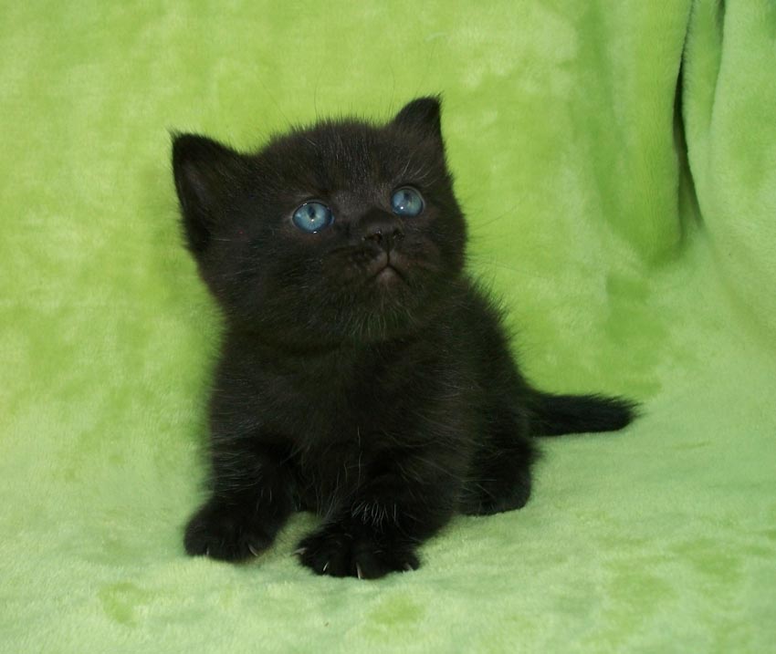 100_9932 » CountryMunchkins