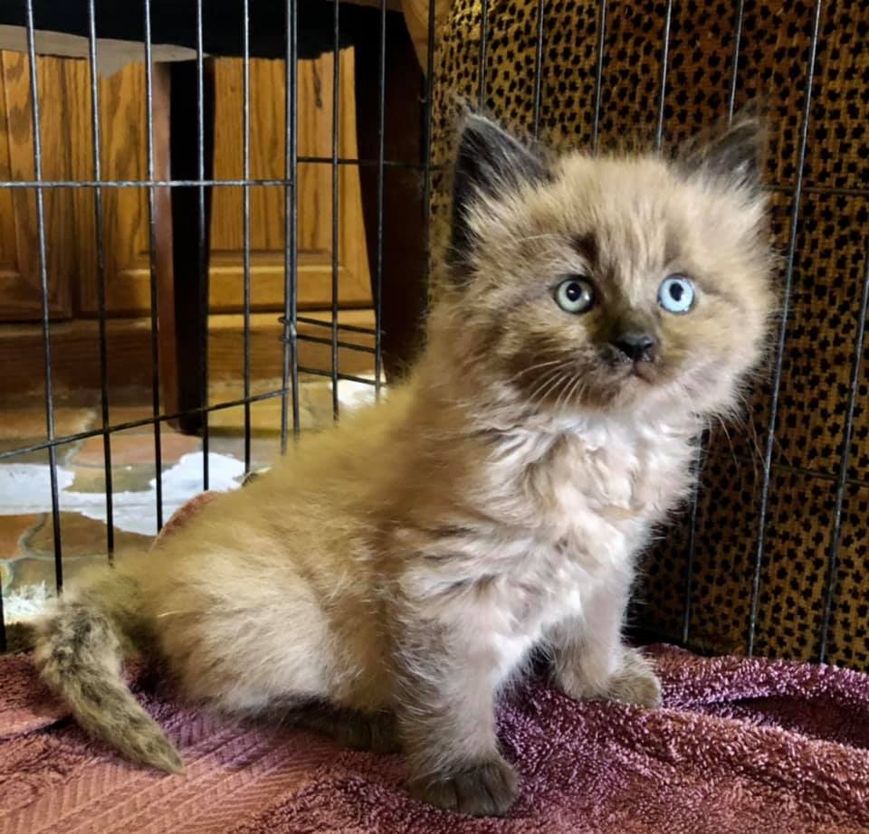 163189862_3872850472753945_1259417529635244123_n » CountryMunchkins