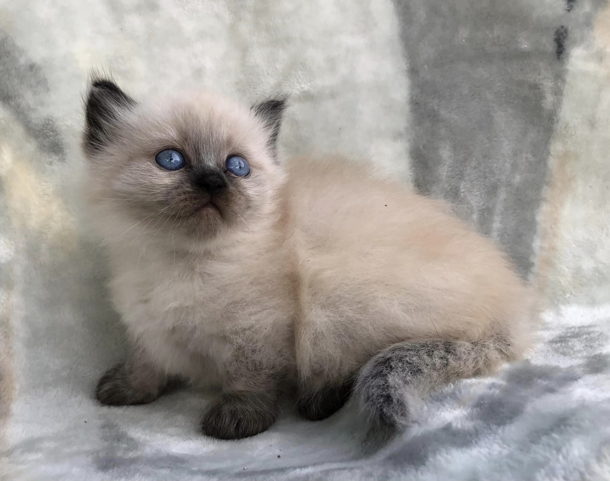 351464263_1404925810307186_4927655706374377290_n » CountryMunchkins