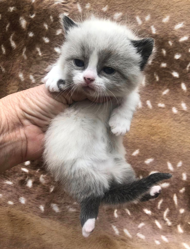 430045749_7350212338351057_4740916585783430831_n » CountryMunchkins