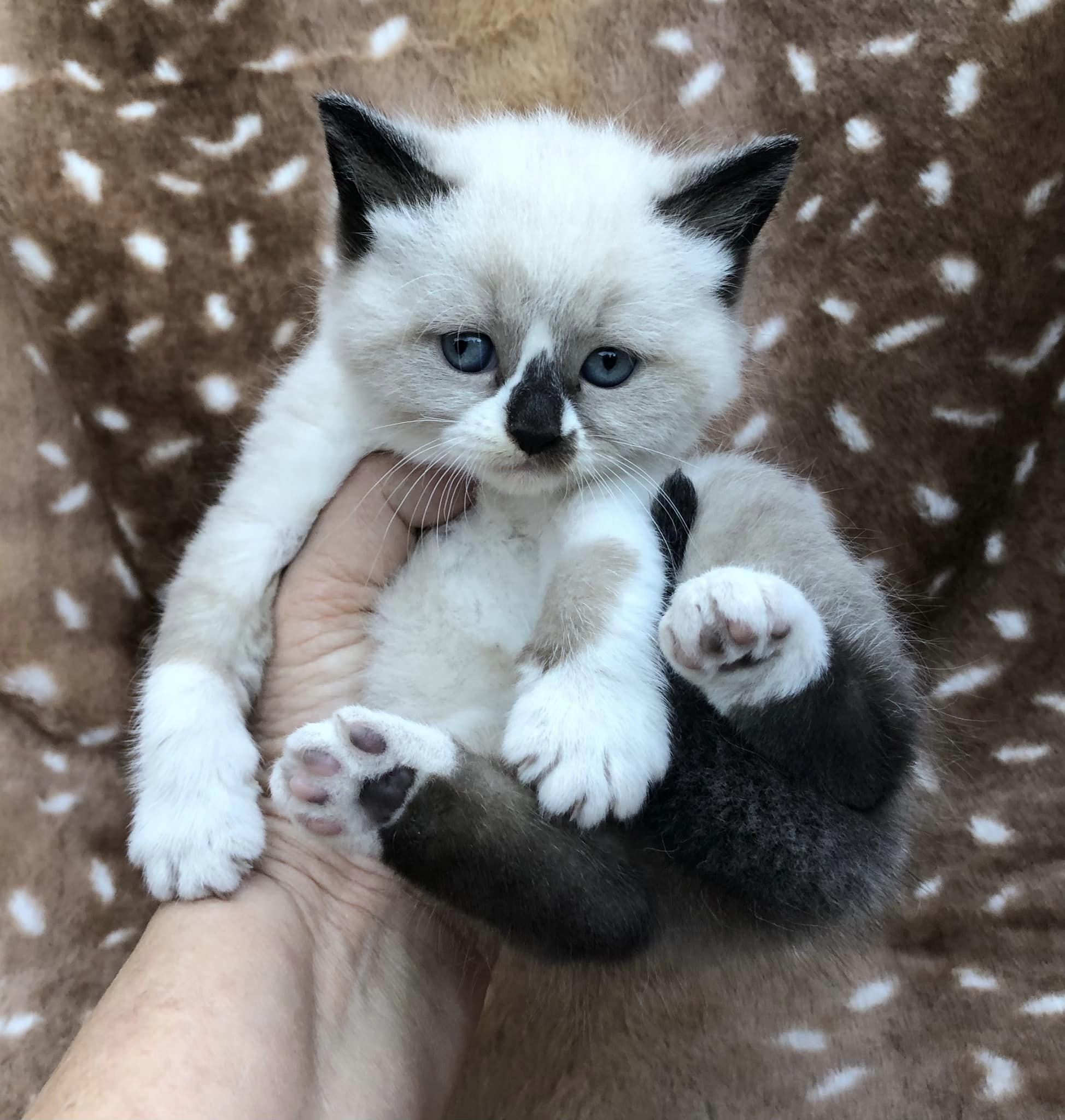 437146634_7474880972550859_50302955391501577_n » CountryMunchkins