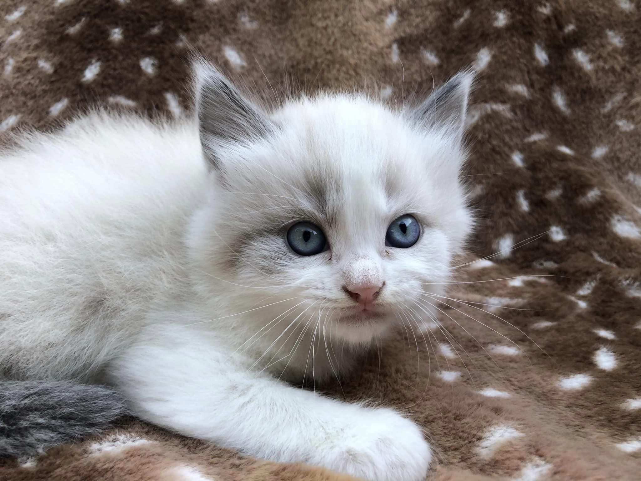 437759257_7477650068940616_6553595477951160650_n » CountryMunchkins